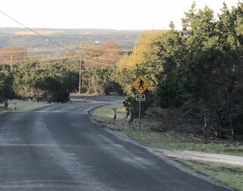 CANYON SPRINGS RANCH | CANYON SPRINGS RANCH